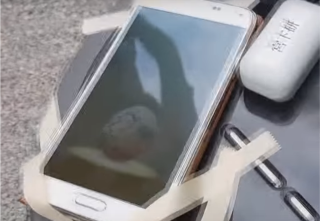 実世界ふかそうち - shisonoha.net